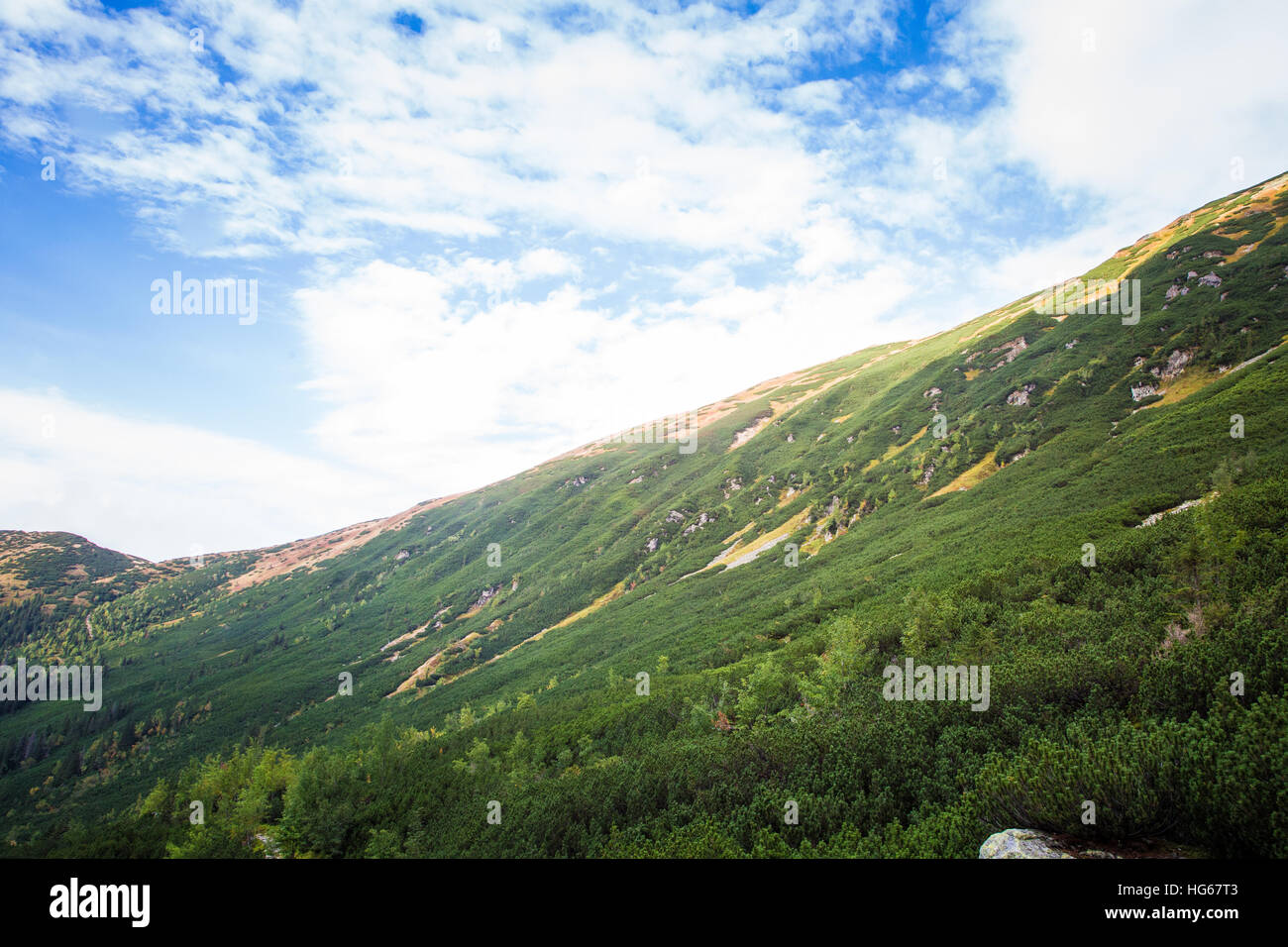 A beautiful mountain landscape above tree line Stock Photo - Alamy