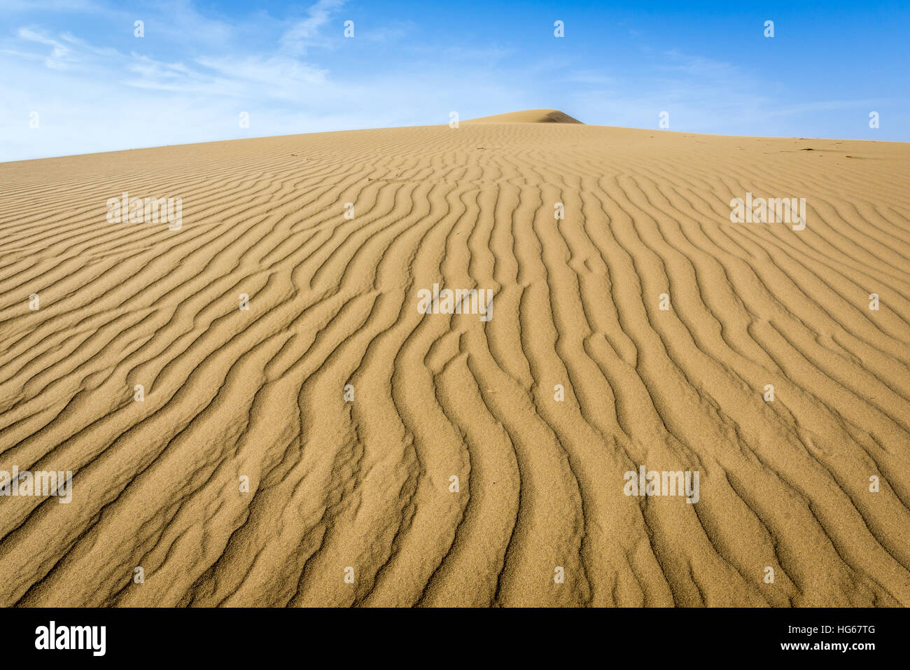 Yellow sand ripple marks in hi-res stock photography and images - Alamy