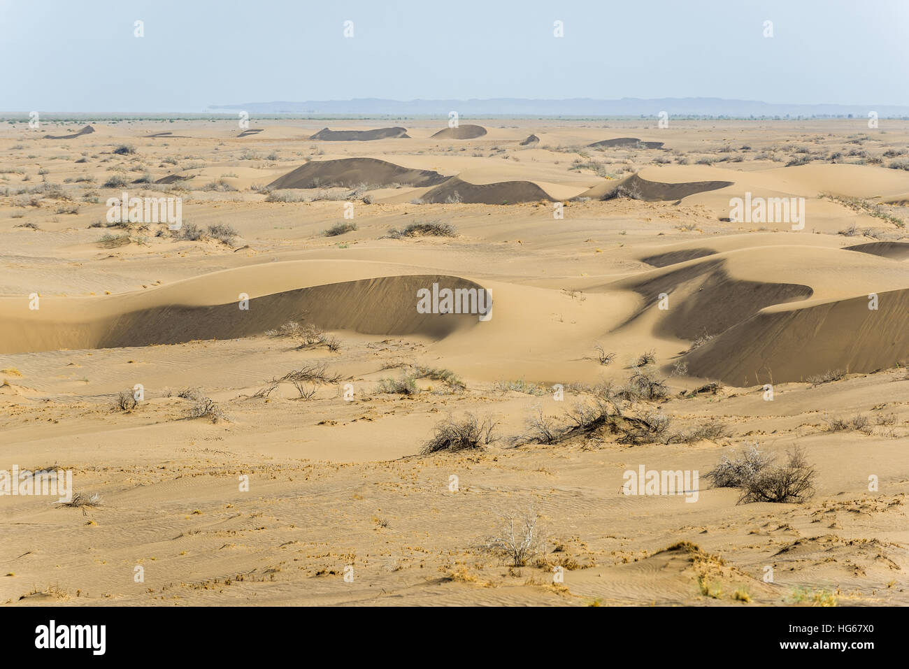 Transverse dune hi-res stock photography and images - Alamy