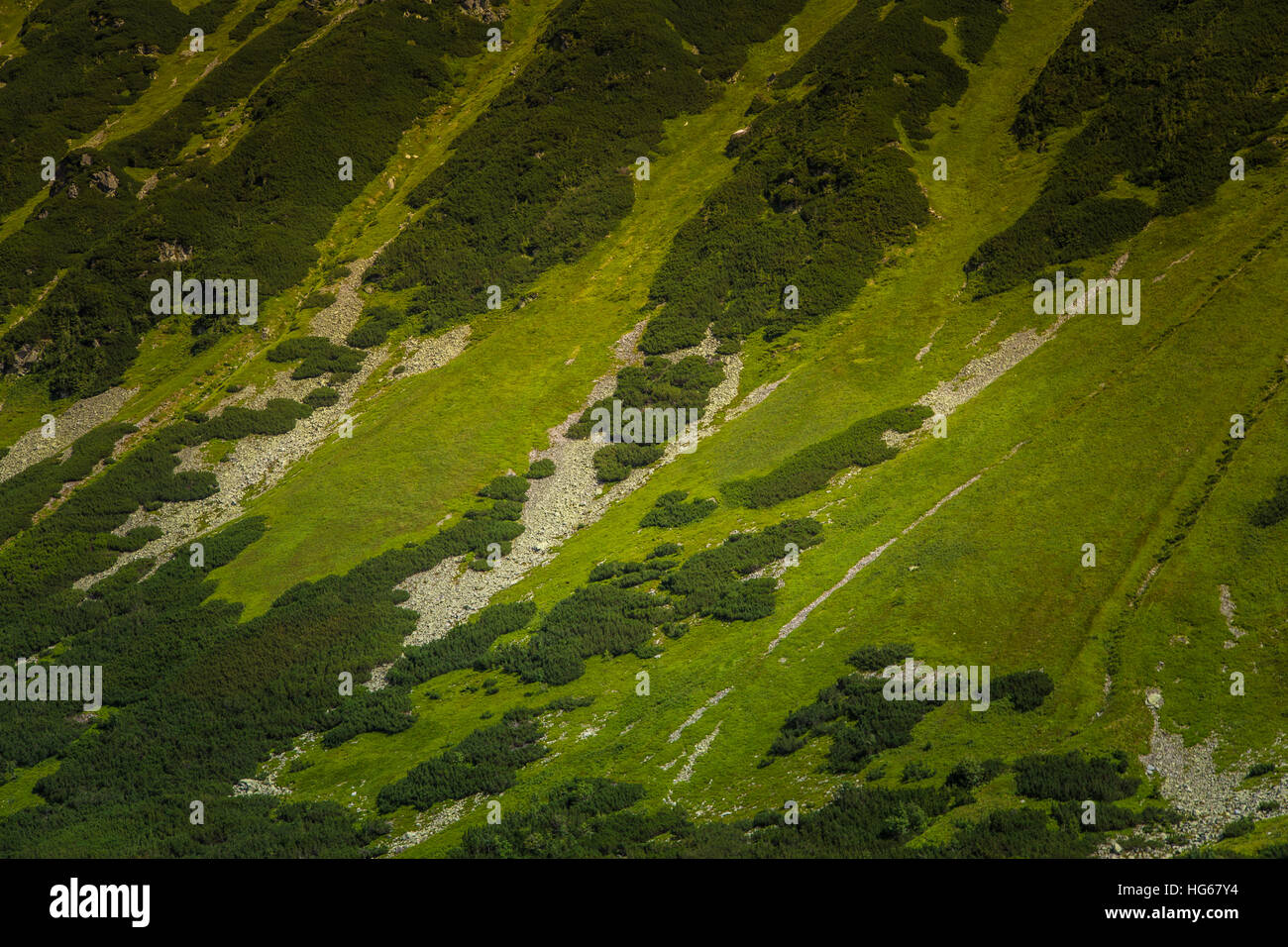 A beautiful mountain landscape above tree line Stock Photo - Alamy