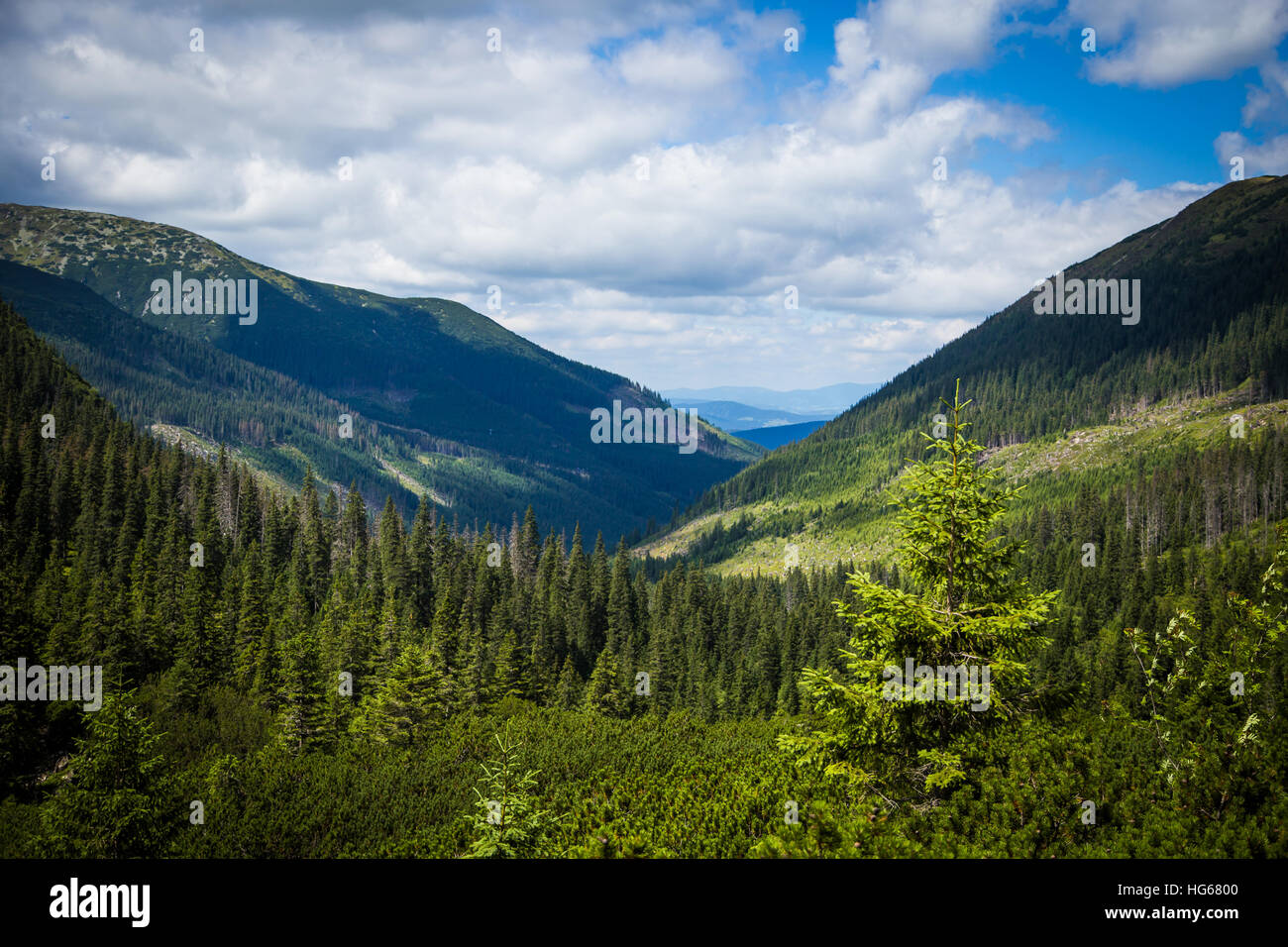 A beautiful mountain landscape above tree line Stock Photo - Alamy