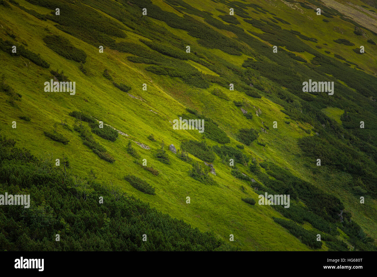 A beautiful mountain landscape above tree line Stock Photo - Alamy