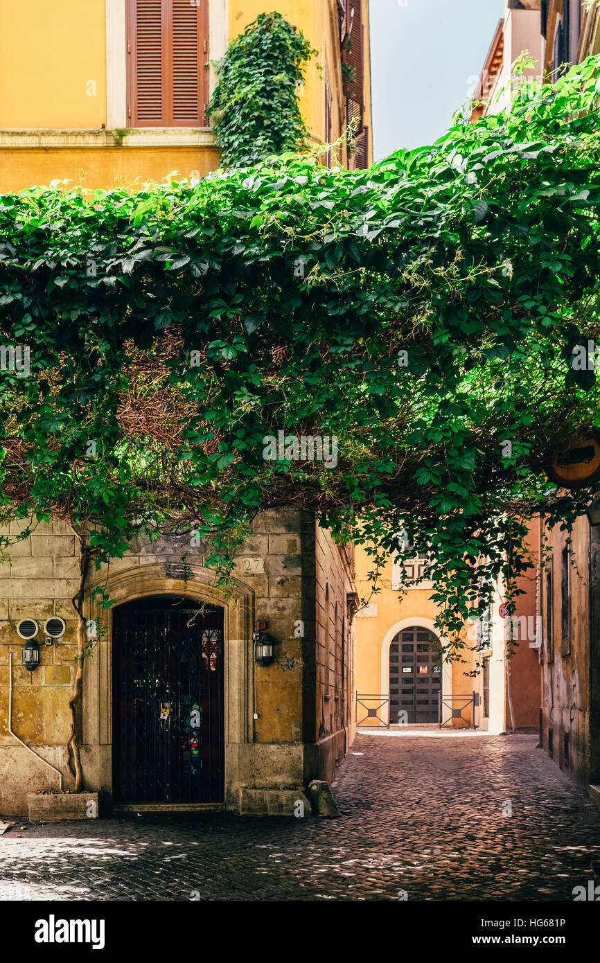 A beautiful vine-draped street in Rome, Italy Stock Photo - Alamy