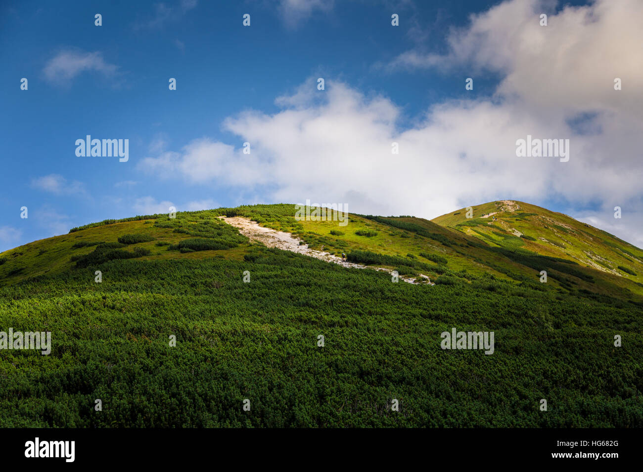 A beautiful mountain landscape above tree line Stock Photo - Alamy