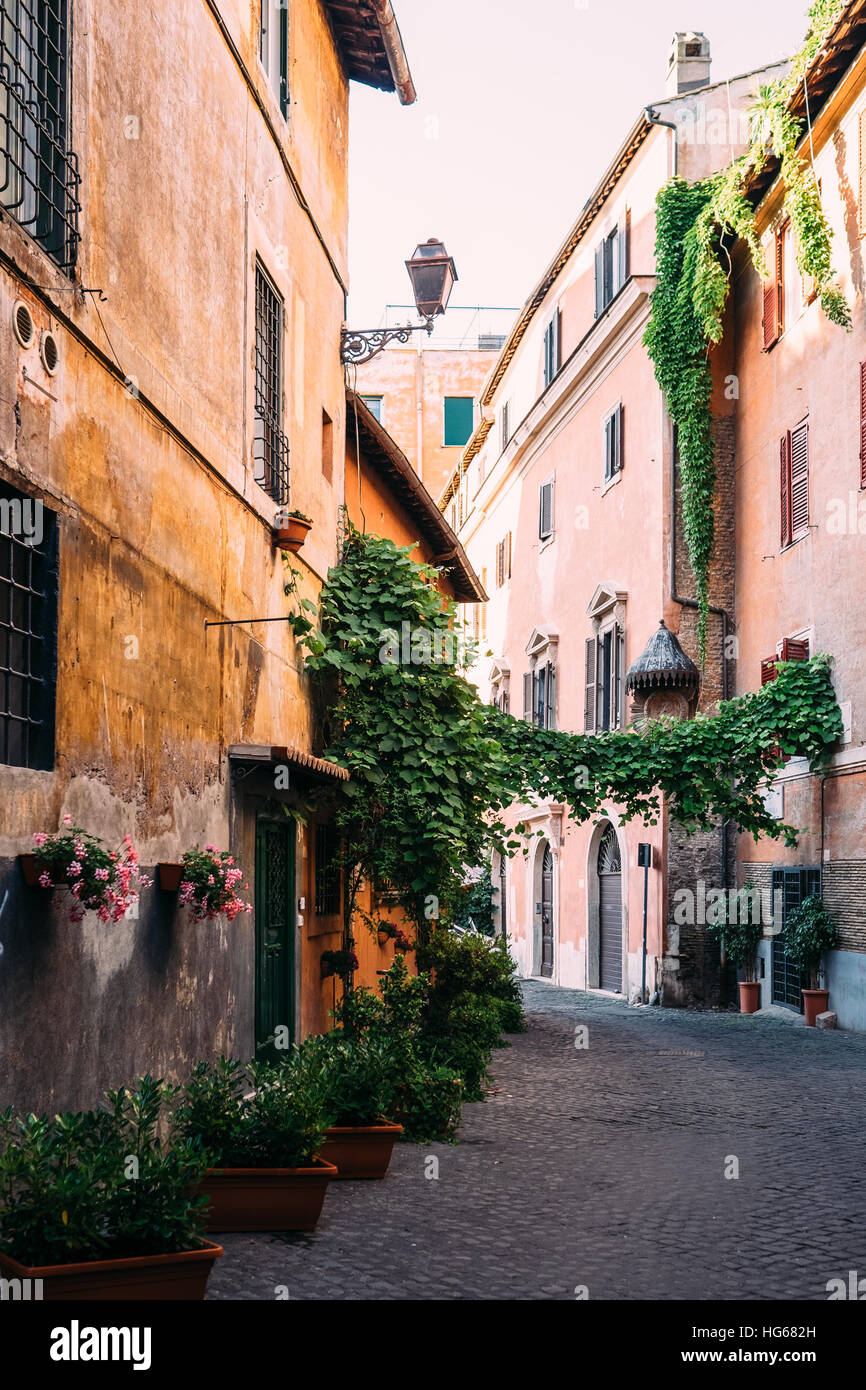 A beautiful vine-draped street in the quiet part of Rome's Trastevere ...