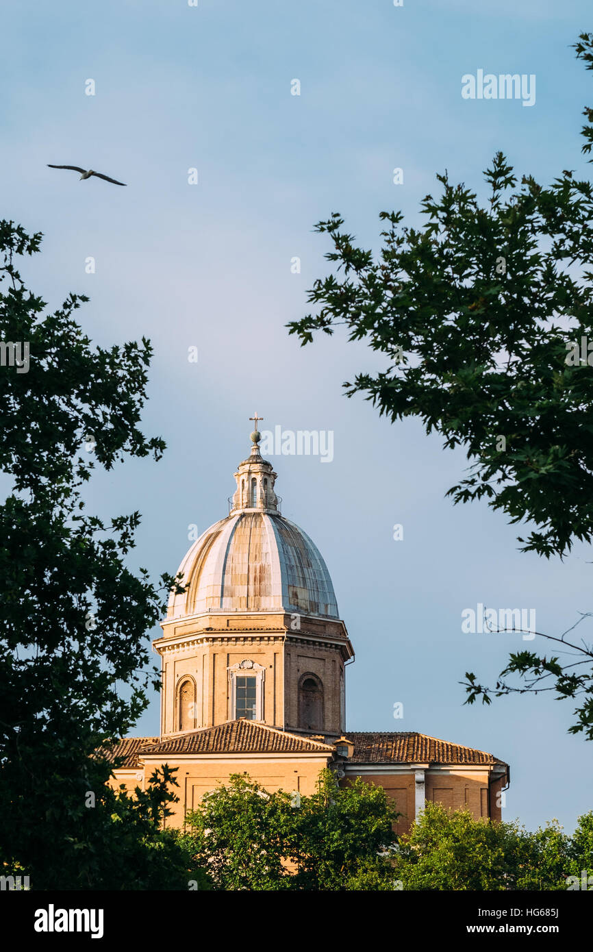 Urban trees in rome hi-res stock photography and images - Alamy