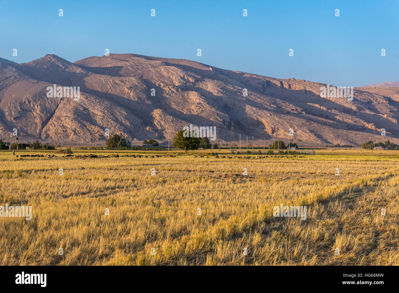 agricultural area in Fars Province in Iran Stock Photo - Alamy