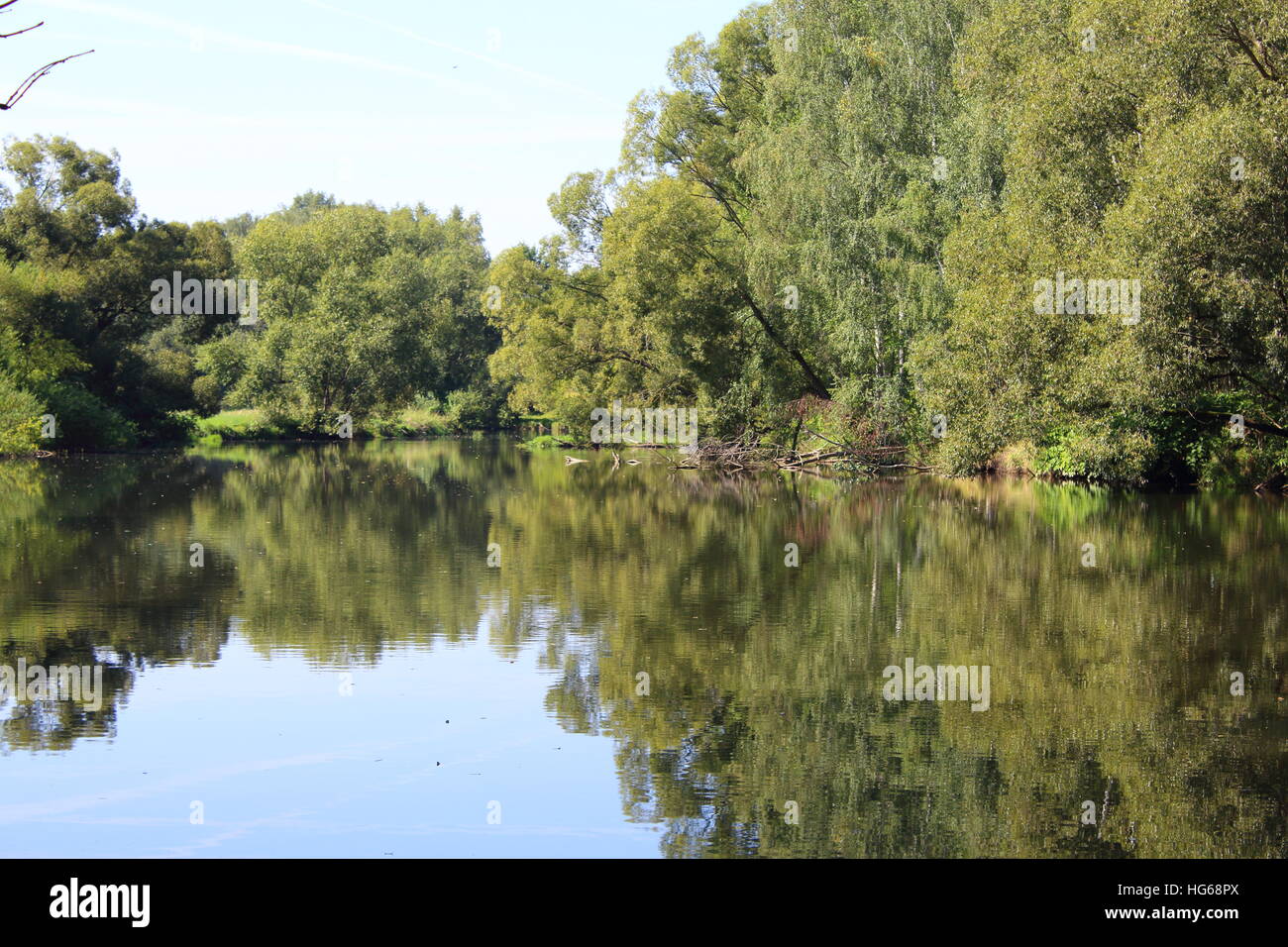 lake in the forest with reflection in the water Stock Photo - Alamy