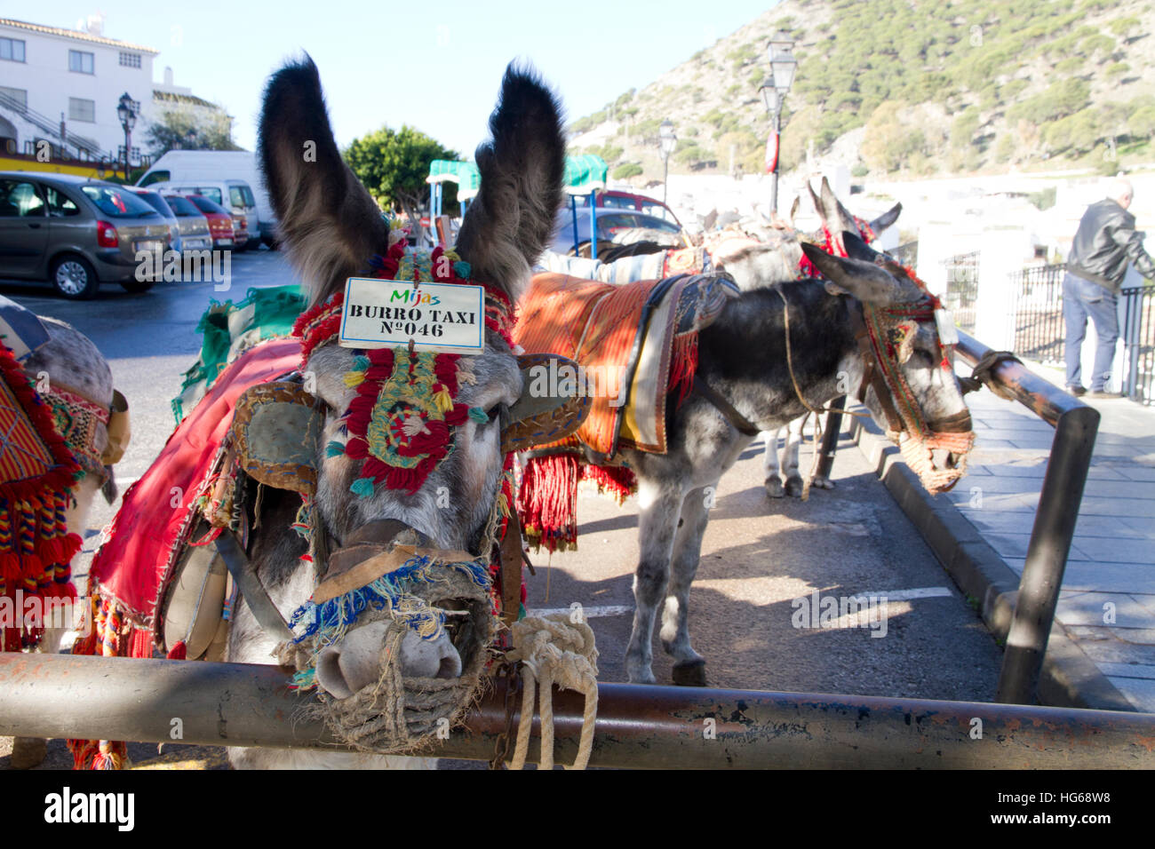 Donkeys spain hi-res stock photography and images - Alamy