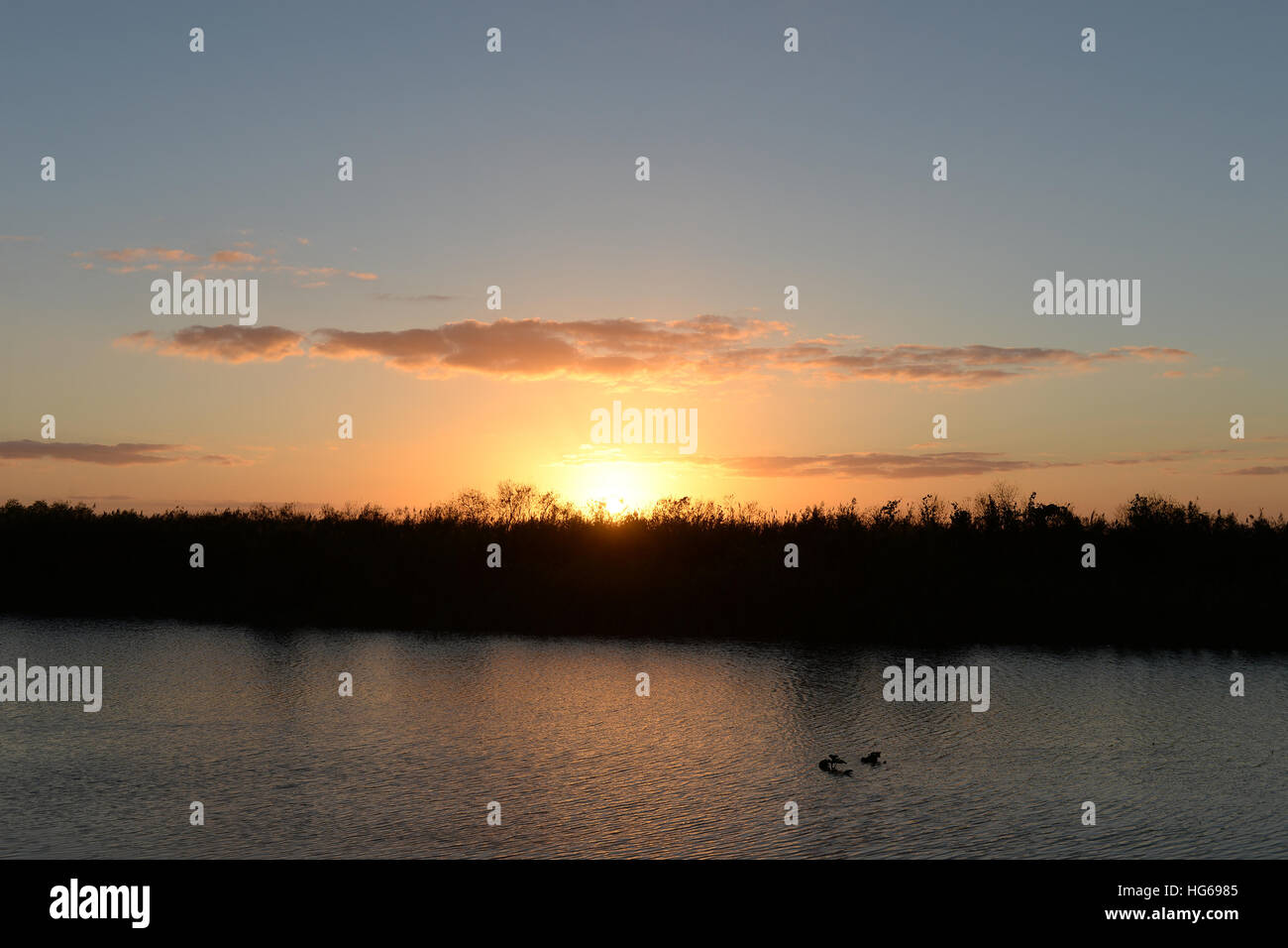 CORAL SPRINGS FL - DECEMBER 31: General view of the last Sunset of 2016 ...