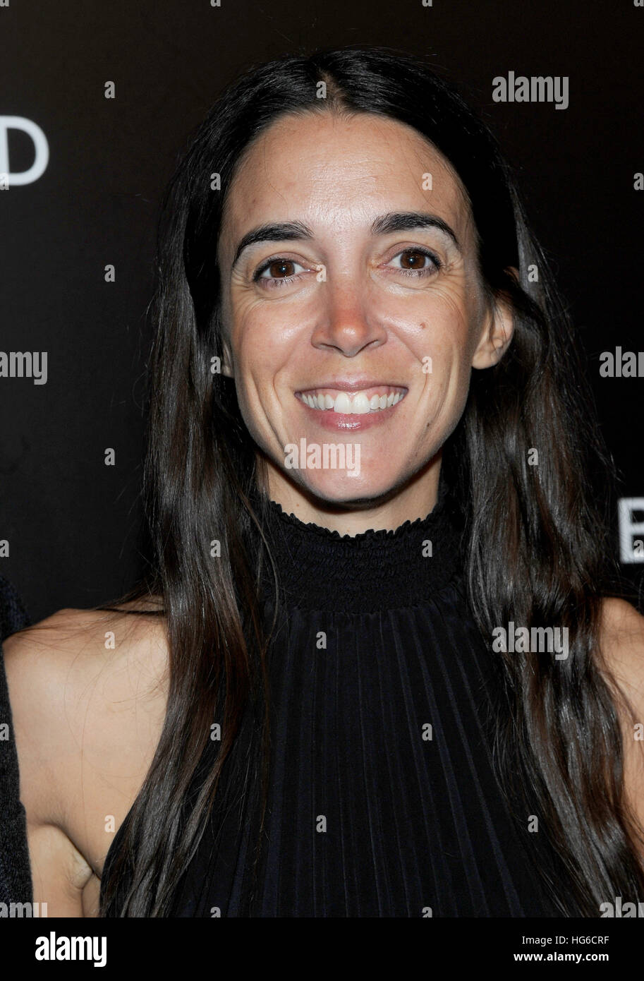New York, NY, USA. 4th Jan, 2017. Michel Varisco attends the Board of ...