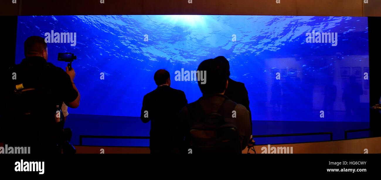 Las Vegas NV, USA. 4th Jan, 2017. Sony shows their CLEDIS, a blank ...