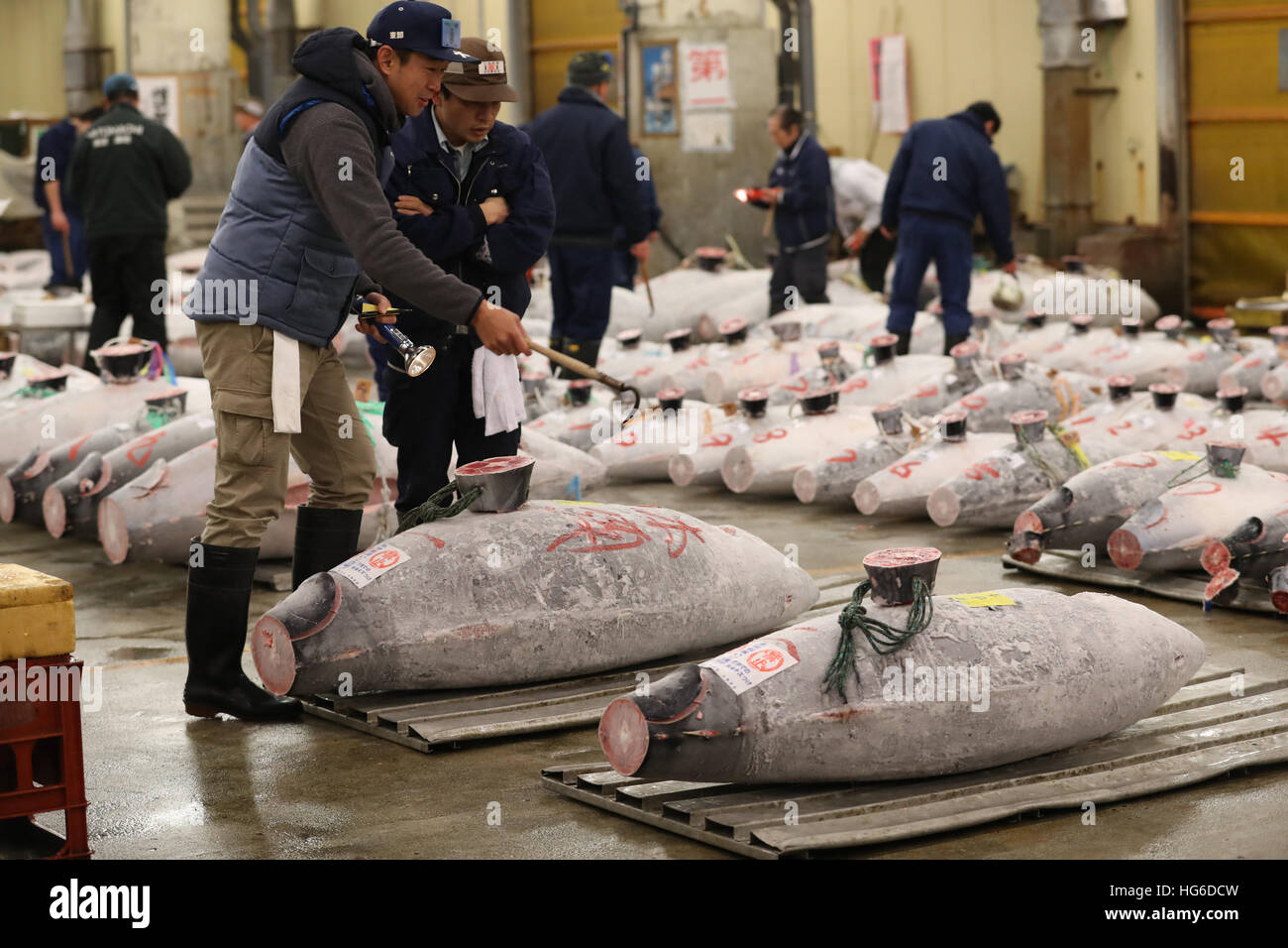 Tokyo, Japan. 5th Jan, 2017. Fishmongers inspect frozen bluefin tuna ...