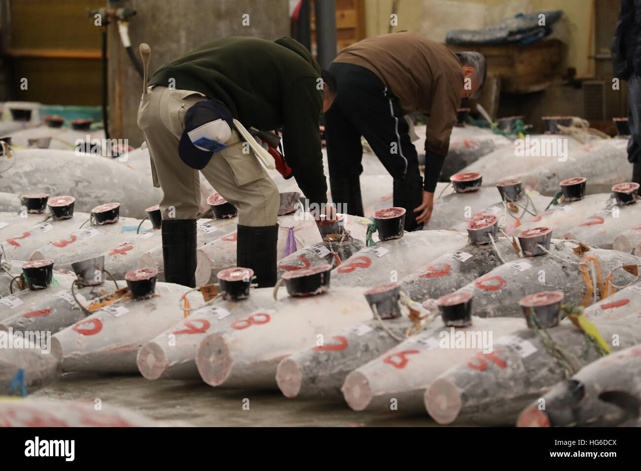 Tokyo, Japan. 5th Jan, 2017. Fishmongers inspect frozen bluefin tuna ...