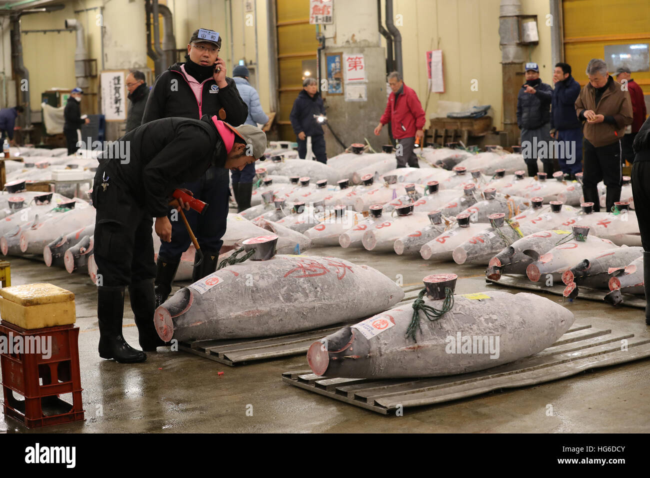 Tokyo, Japan. 5th Jan, 2017. Fishmongers inspect frozen bluefin tuna ...