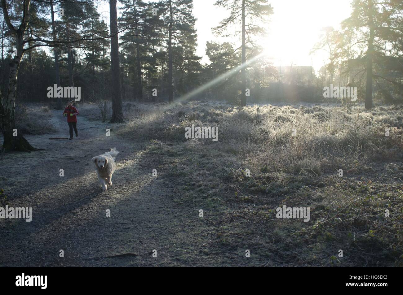 Ascot, UK. 5th Jan, 2017. Frosty start to the day at Englemere Pond ...