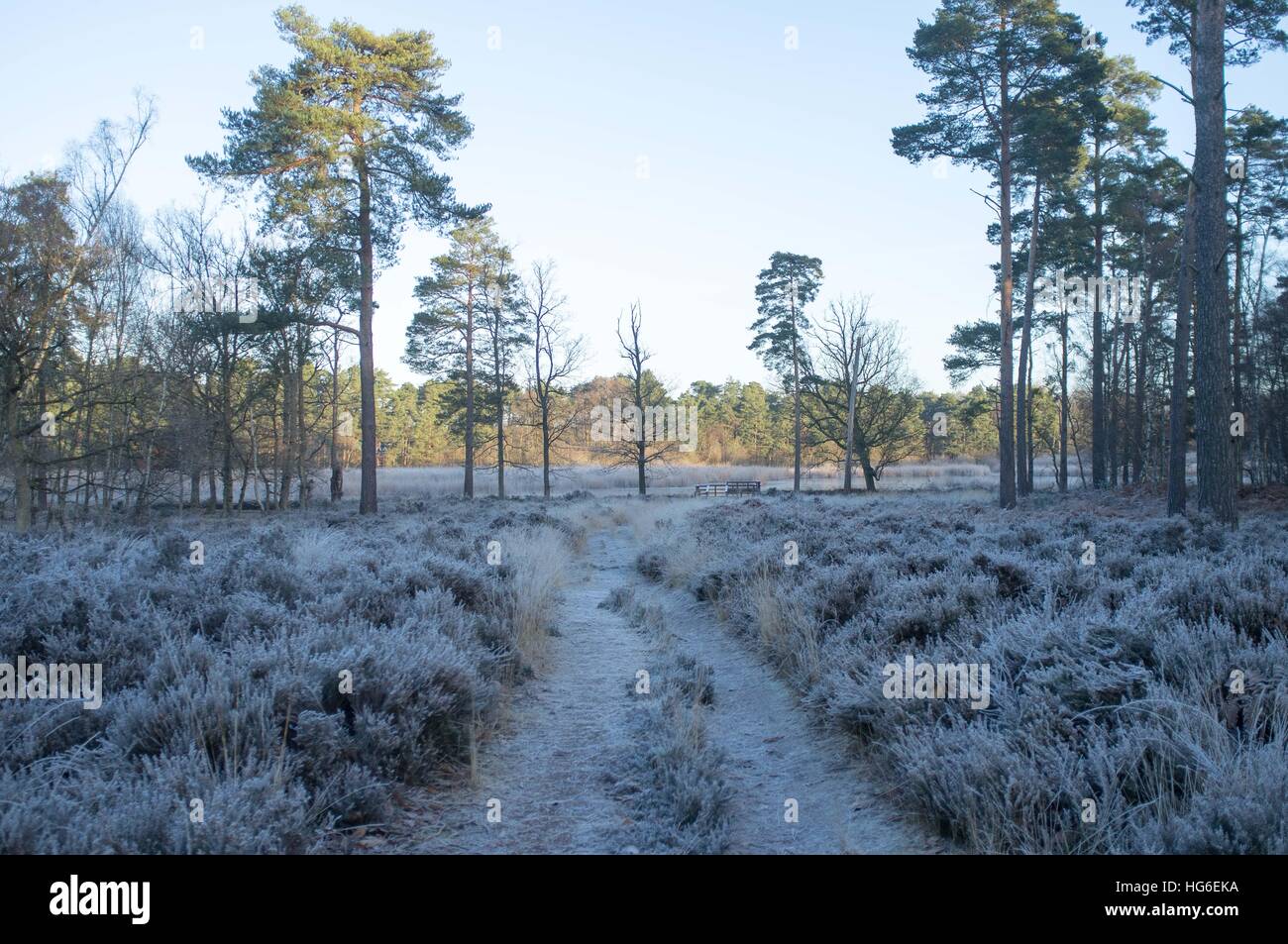 Ascot, UK. 5th Jan, 2017. Frosty start to the day at Englemere Pond ...