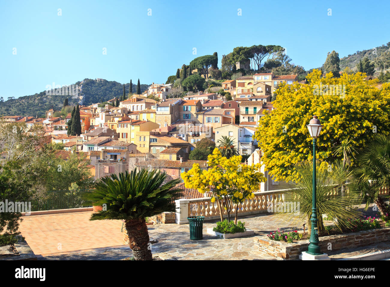 France, Bormes-les-Mimosas, the village in february during flowering of wattles (mimosa Stock ...
