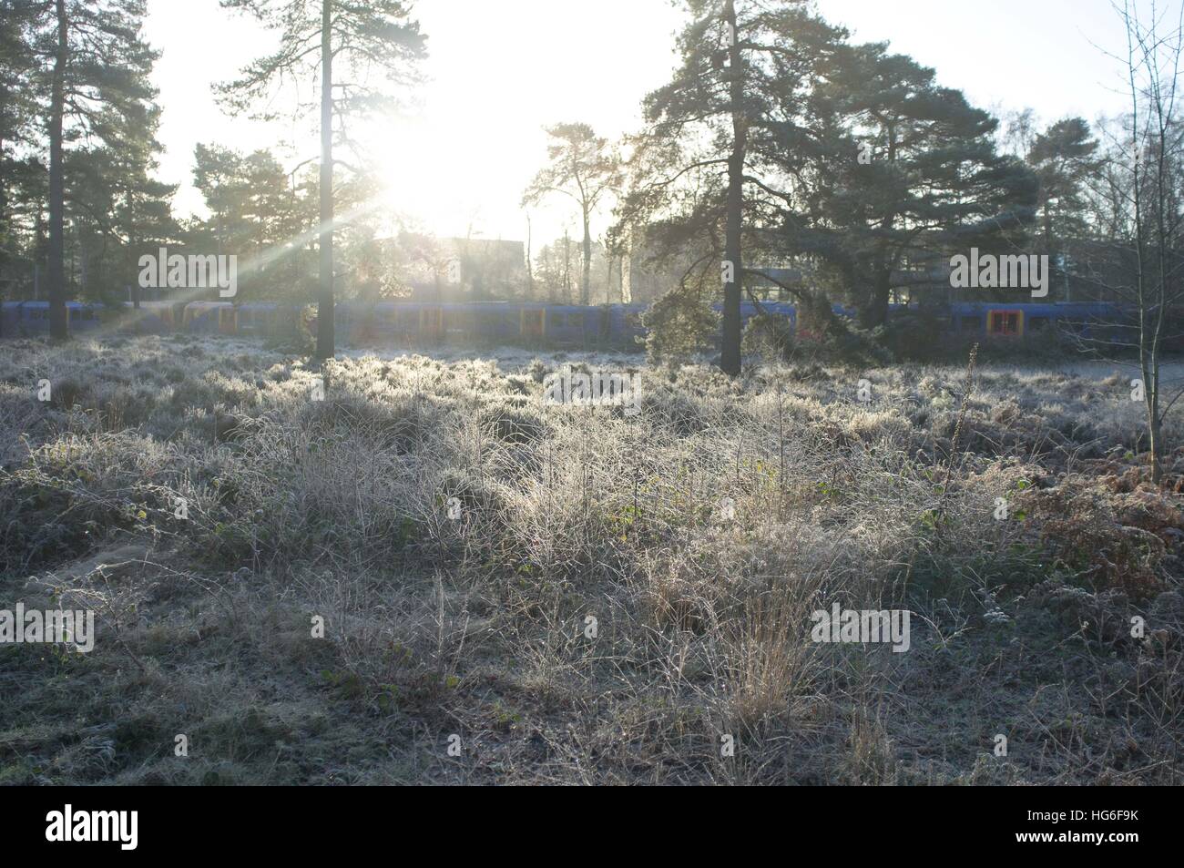Ascot, UK. 5th Jan, 2017. Frosty start to the day at Englemere Pond ...