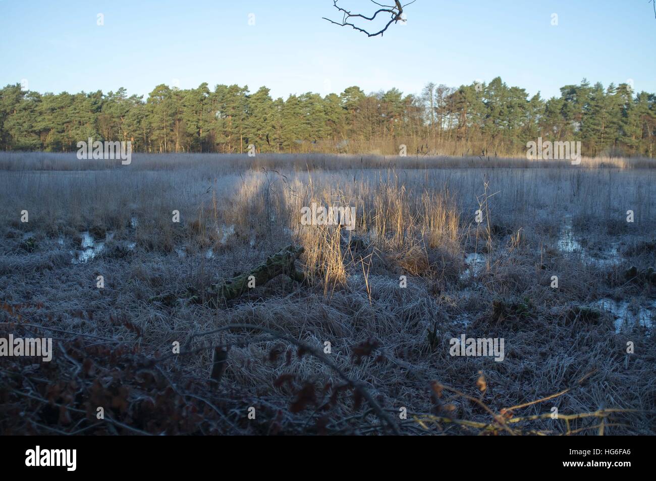 Ascot, UK. 5th Jan, 2017. Frosty start to the day at Englemere Pond ...