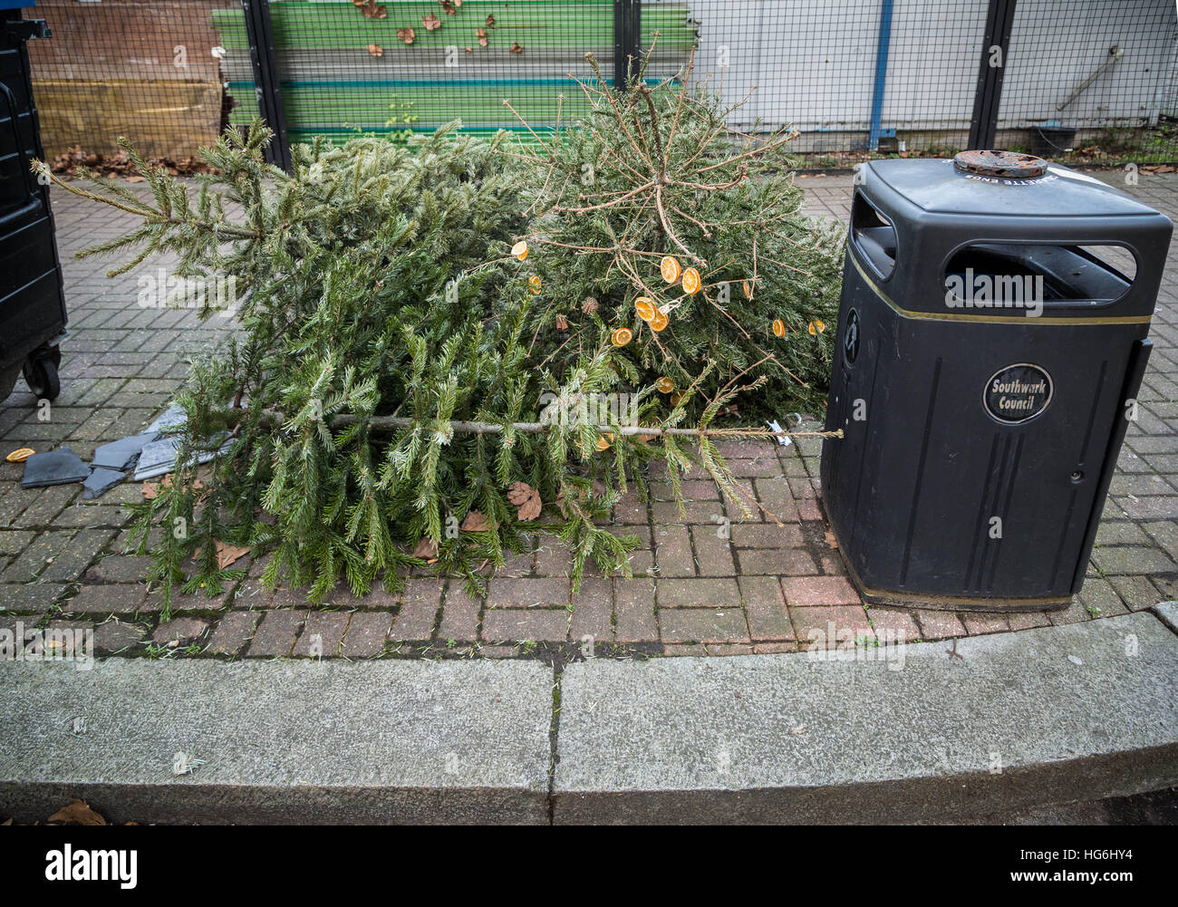 Live xmas trees hi-res stock photography and images - Alamy