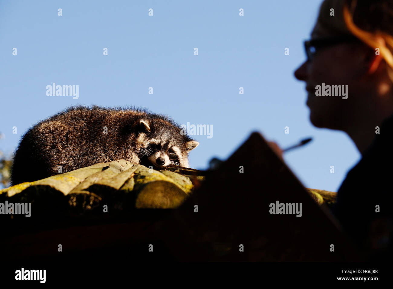 Jan turpin hi-res stock photography and images - Alamy