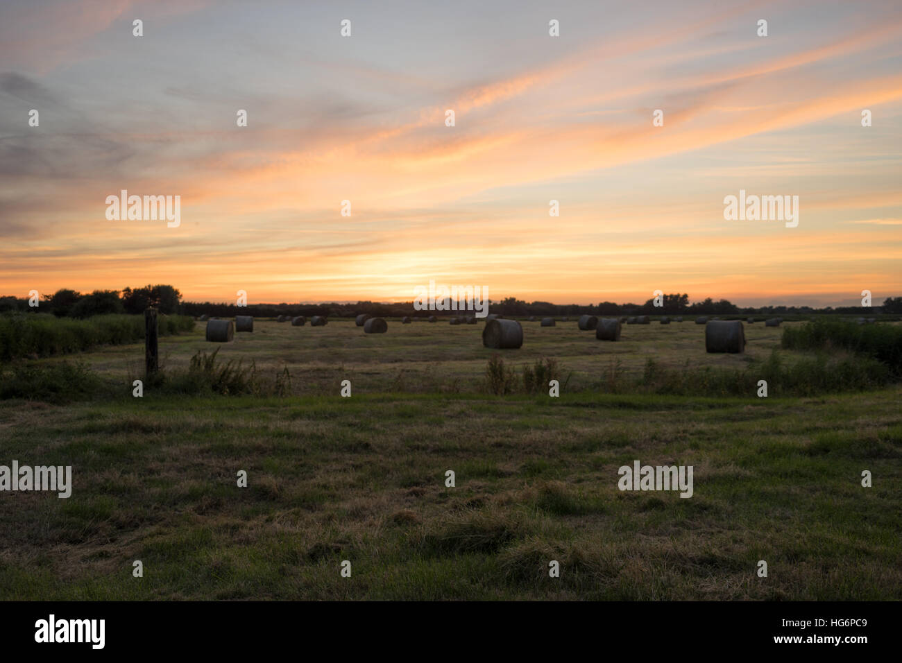 sunset over field Stock Photo - Alamy