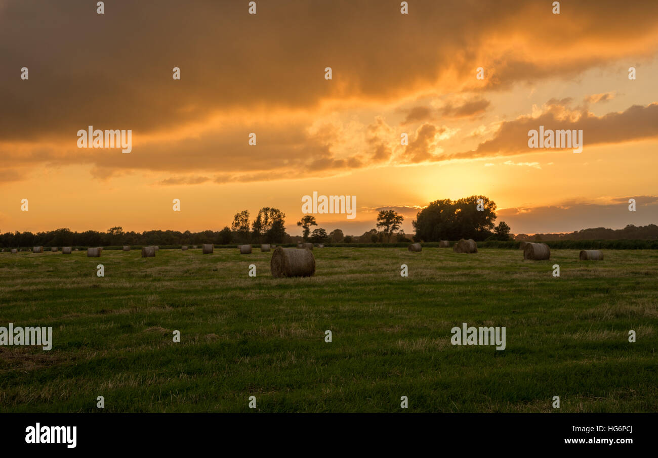 sunset over field Stock Photo - Alamy