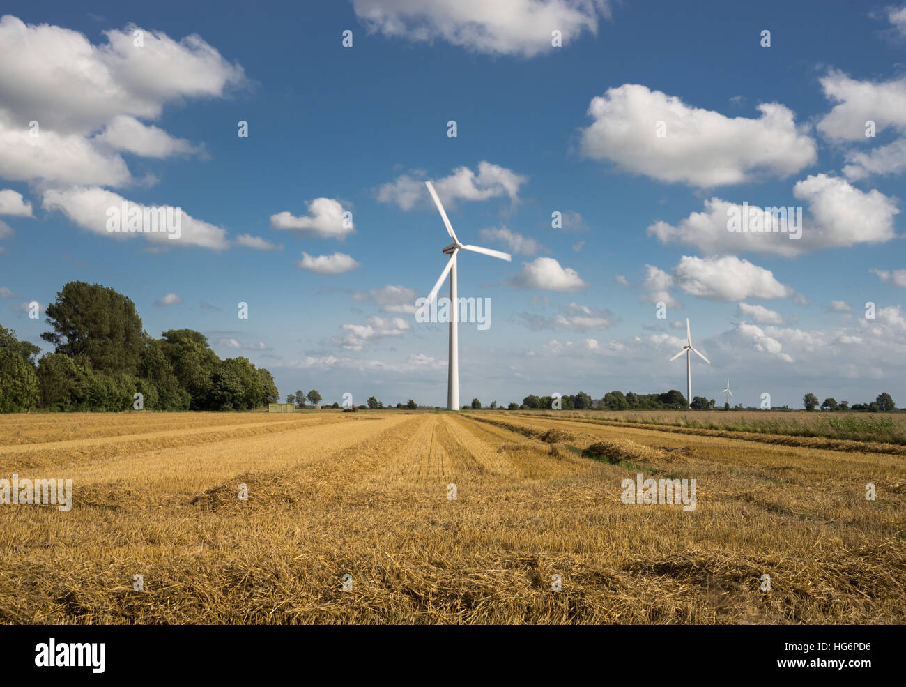 windmill on cornfield Stock Photo - Alamy