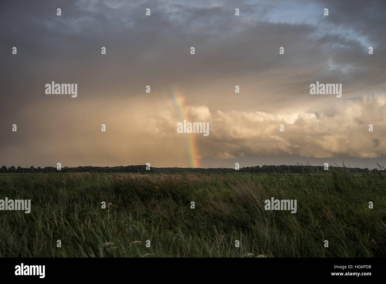 rainbow over field Stock Photo - Alamy