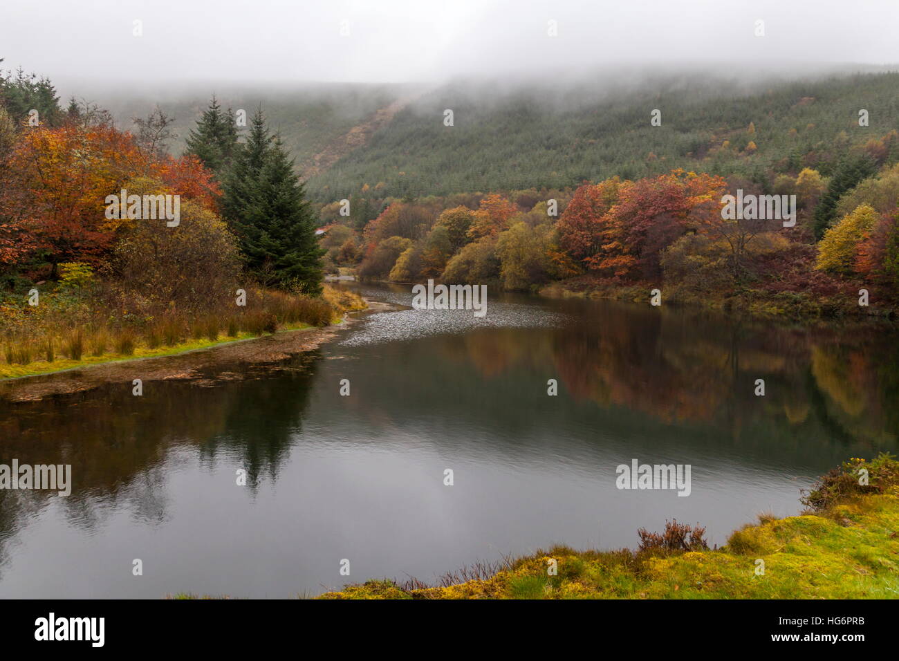 A very Autumnal look around the disused Hendre ddu quarry reservoir in ...