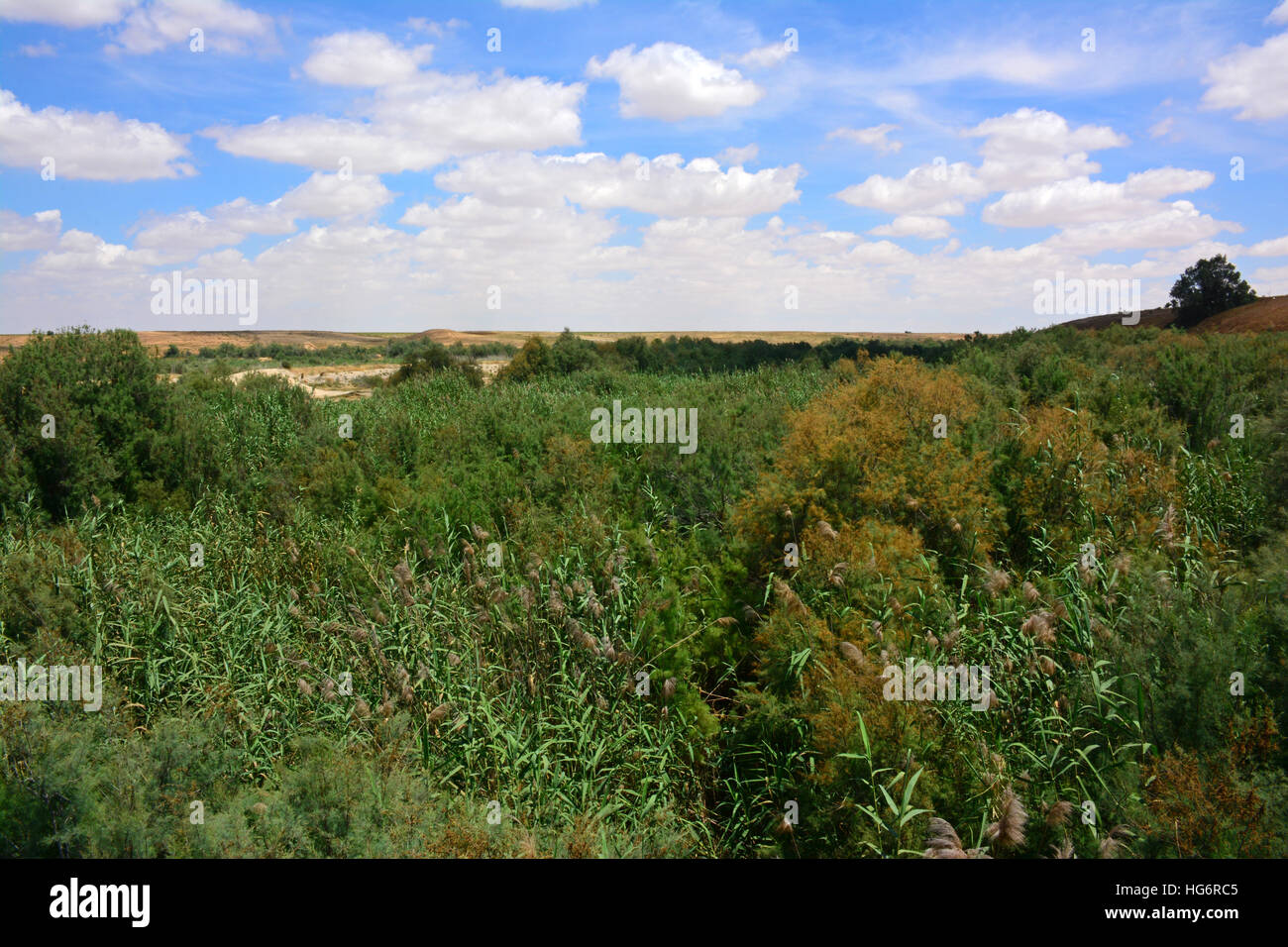 Negev israel hi-res stock photography and images - Alamy