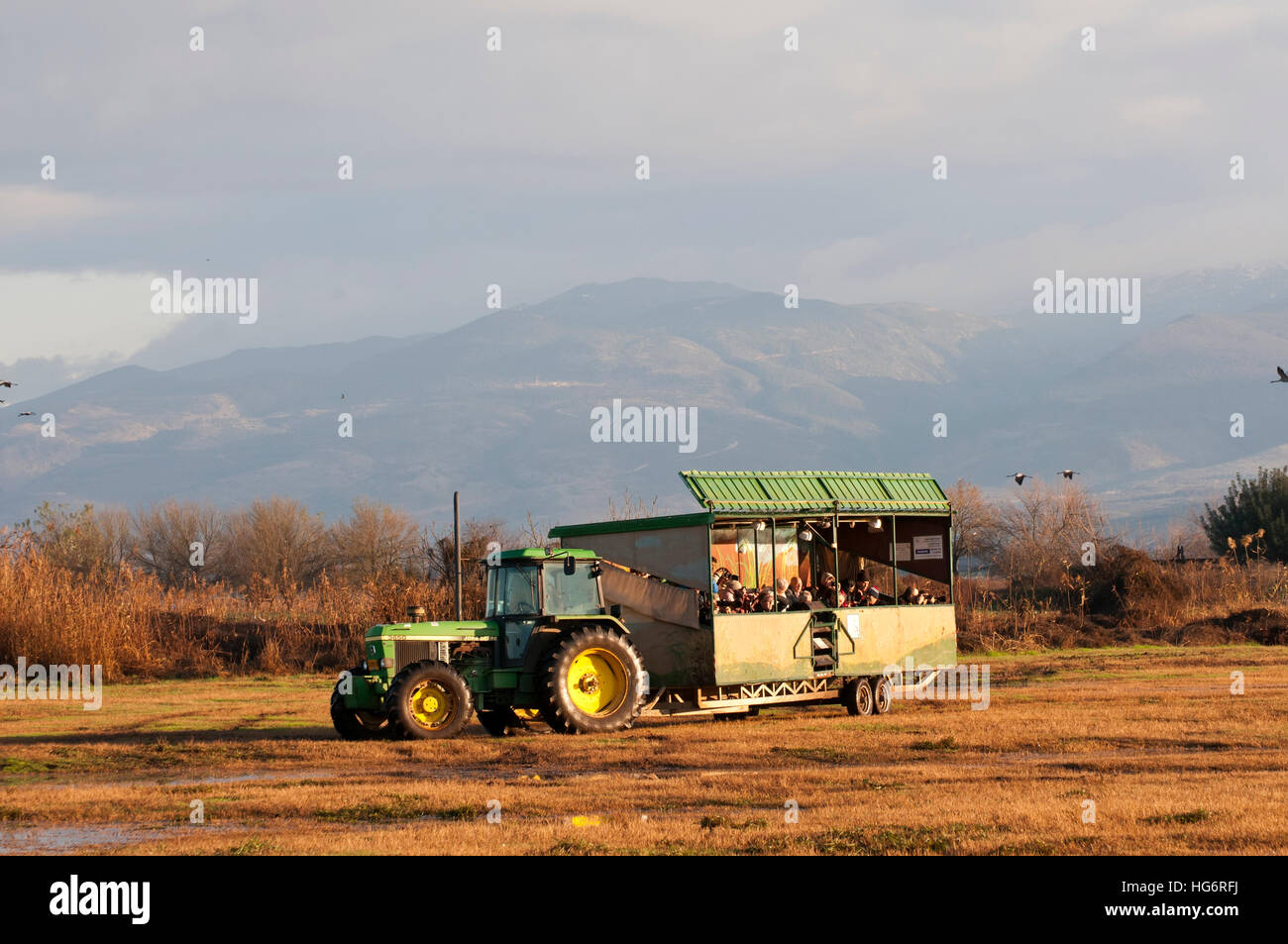 Agamon Hula bird watching and photographing, Israel Stock Photo - Alamy