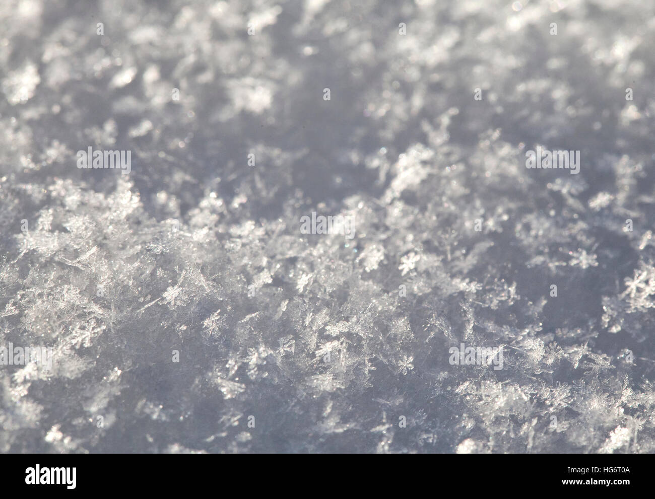 Surface of fresh snow in winter, macro shot Stock Photo - Alamy