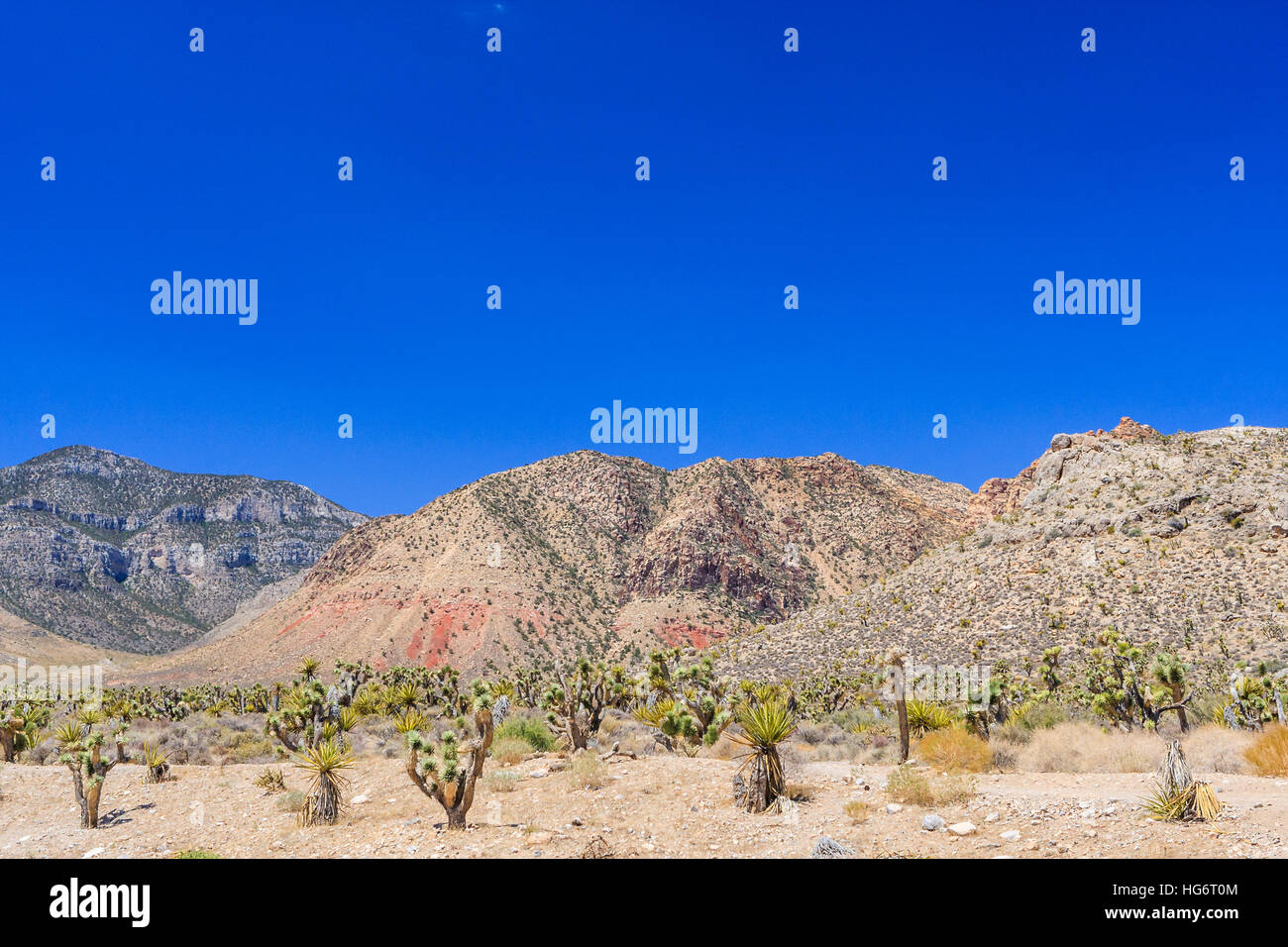 Majestic sandstone escarpment dominates the Red Rock Canyon National ...