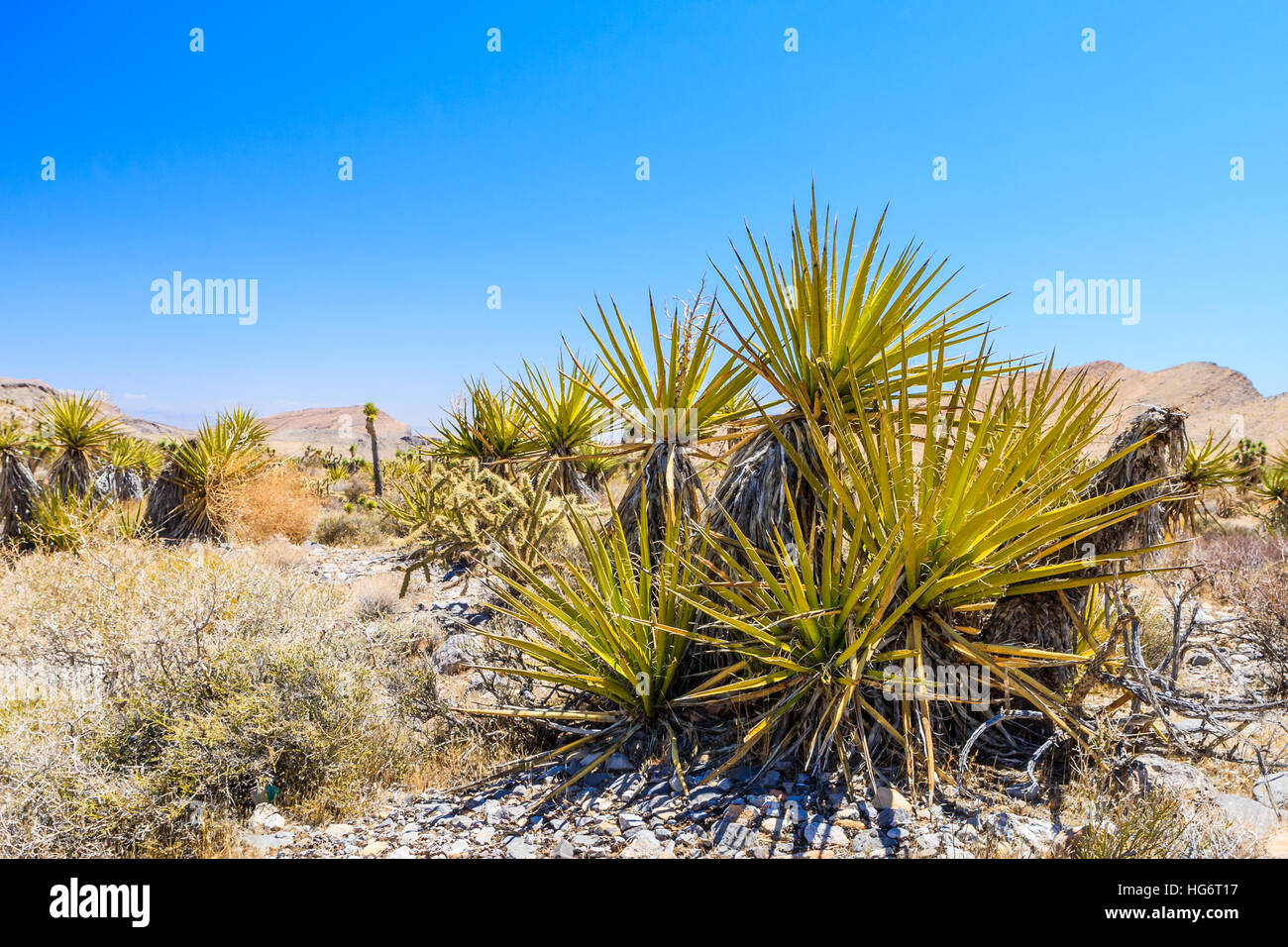 Majestic sandstone escarpment dominates the Red Rock Canyon National ...