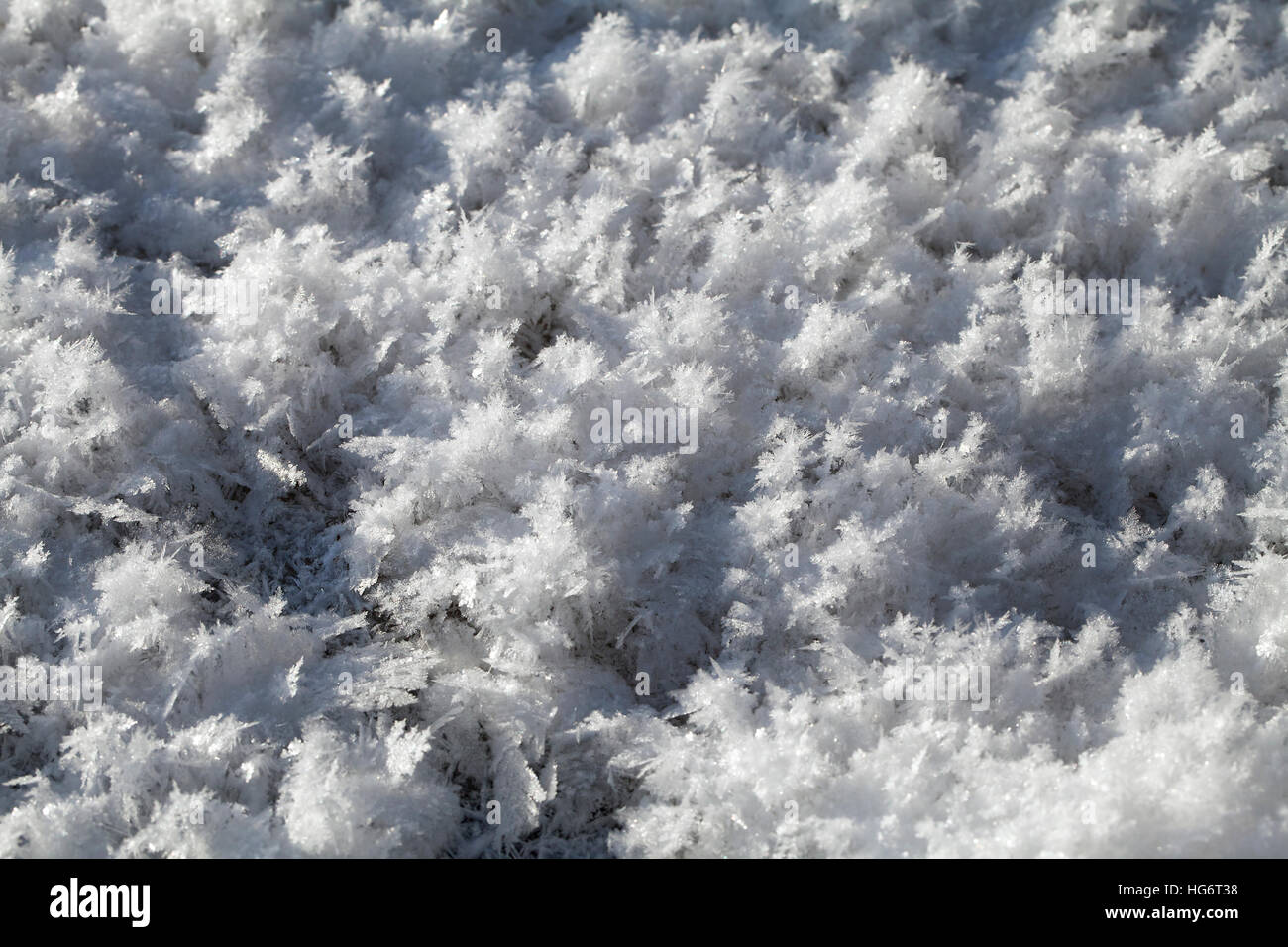 Big snow crystals on the ground, macro shot Stock Photo - Alamy