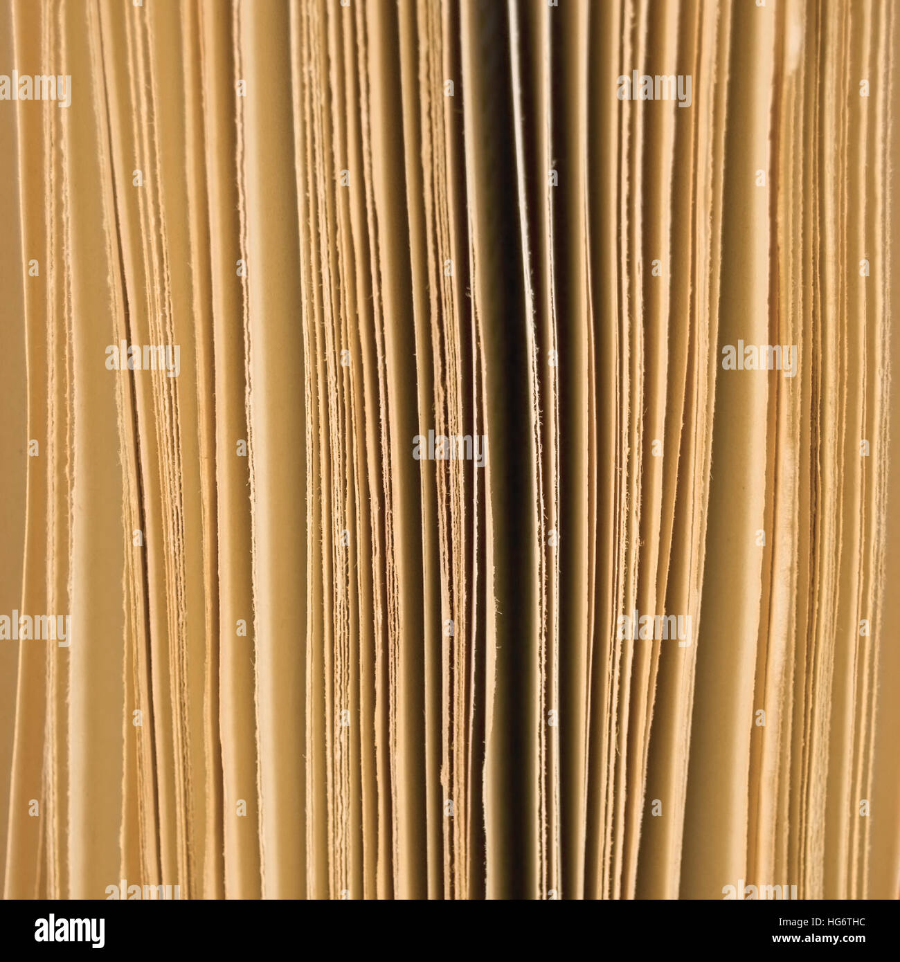Open book pages hi-res stock photography and images - Alamy