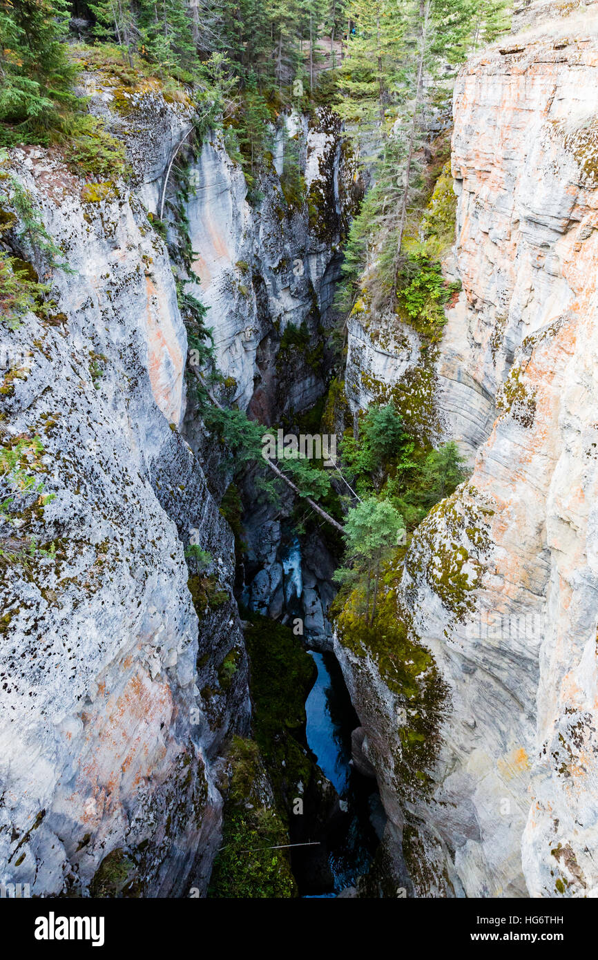 Maligne Canyon is a natural feature located in the Jasper National Park ...