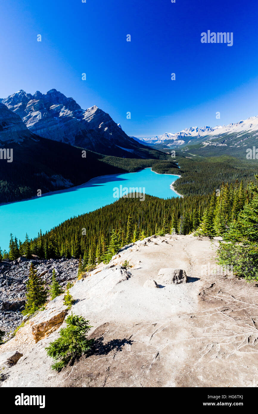 Peyto Lake is a glacier-fed lake located in Banff National Park in the ...