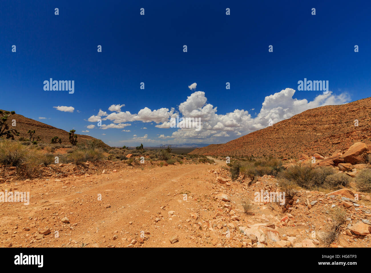 Joshua Tree Road, Mojave Desert (Scenic Backway Stock Photo - Alamy