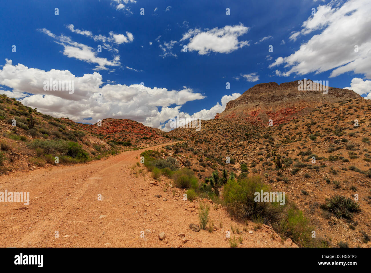 Joshua tree road hi-res stock photography and images - Alamy