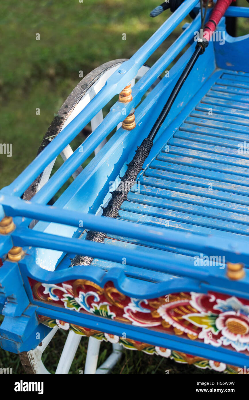 Spiked Jockey's whip used at the Makepung buffalo races in Bali Stock ...