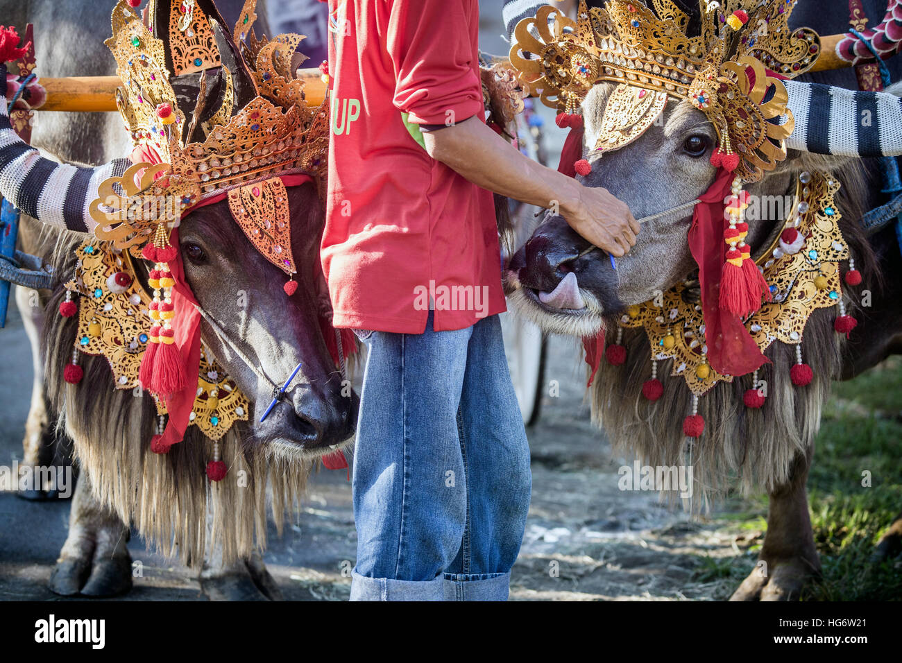 Fashion category hi-res stock photography and images - Alamy