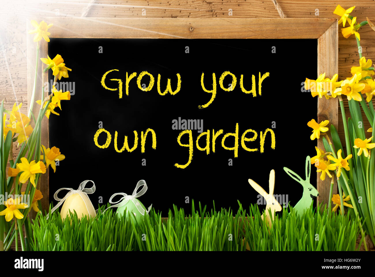 Sunny Narcissus, Easter Egg, Bunny, Text Grow Your Own Garden Stock ...