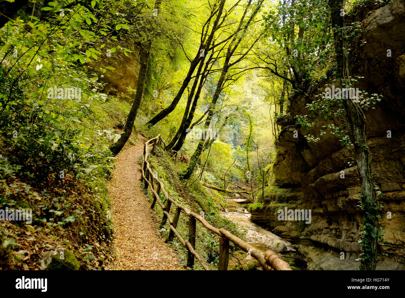 A path forwards along a mountain gorge Stock Photo - Alamy