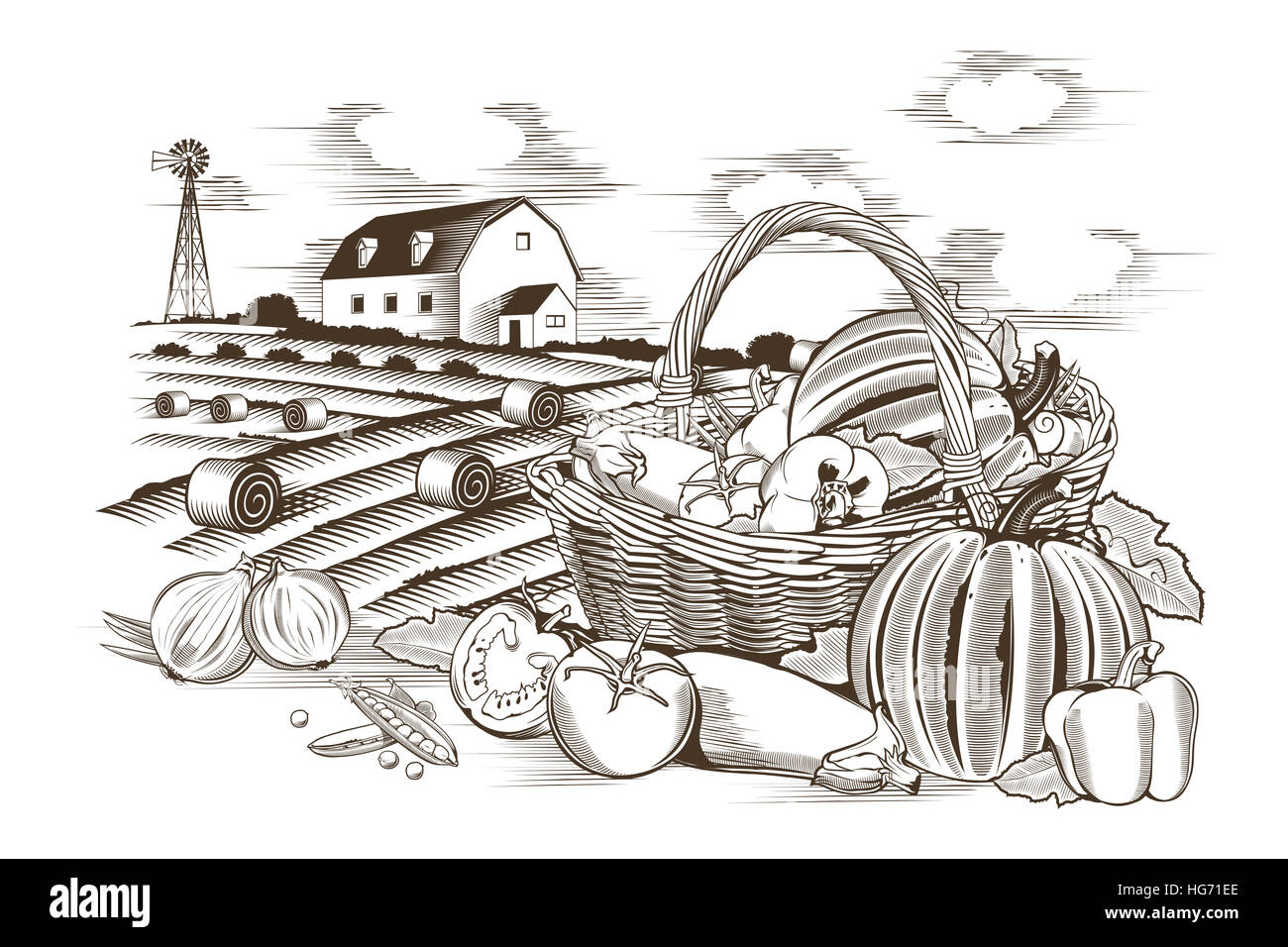 Vegetable basket drawing Cut Out Stock Images & Pictures - Alamy