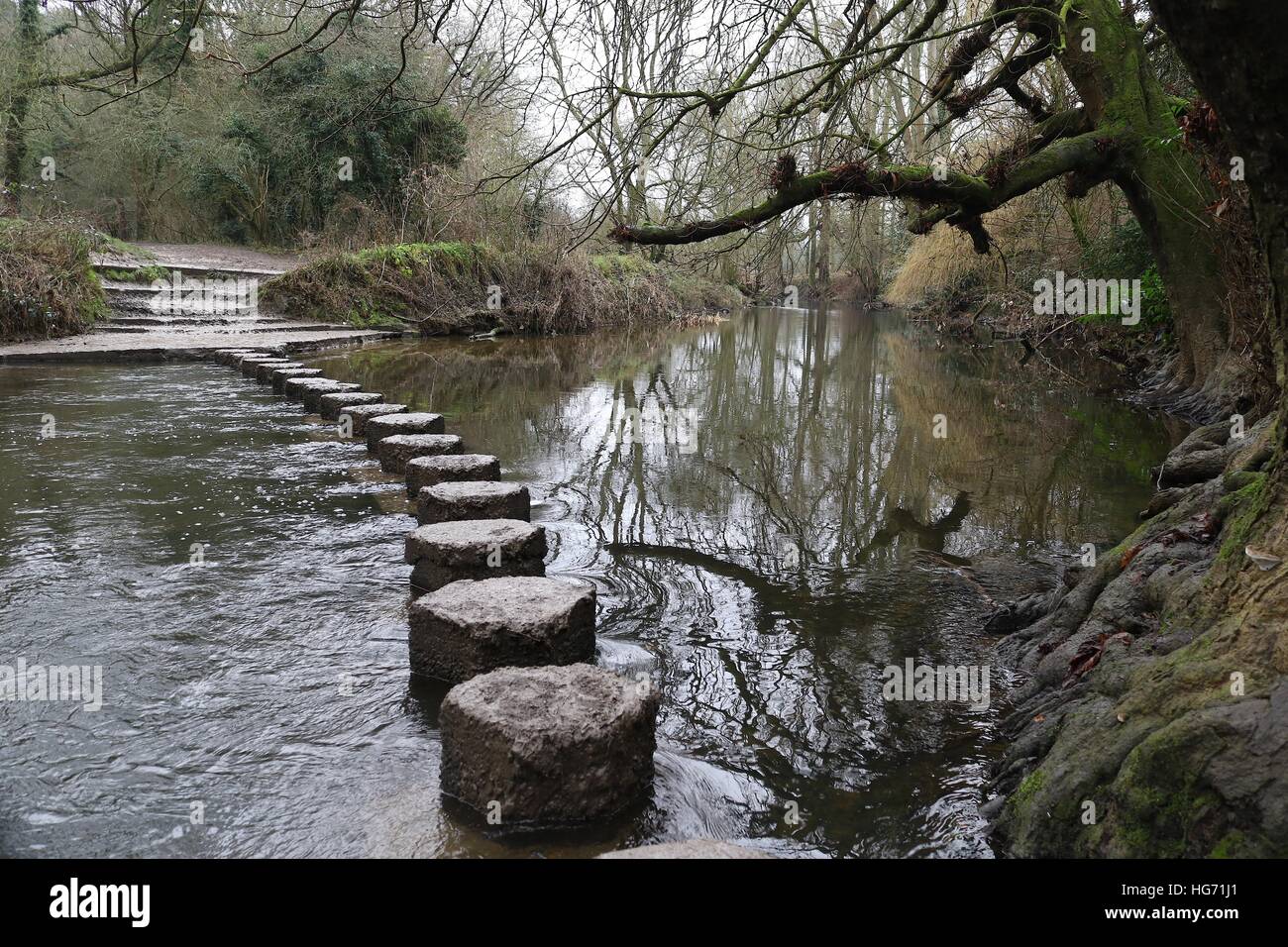 Stepping stones across a cold river in winter Stock Photo - Alamy