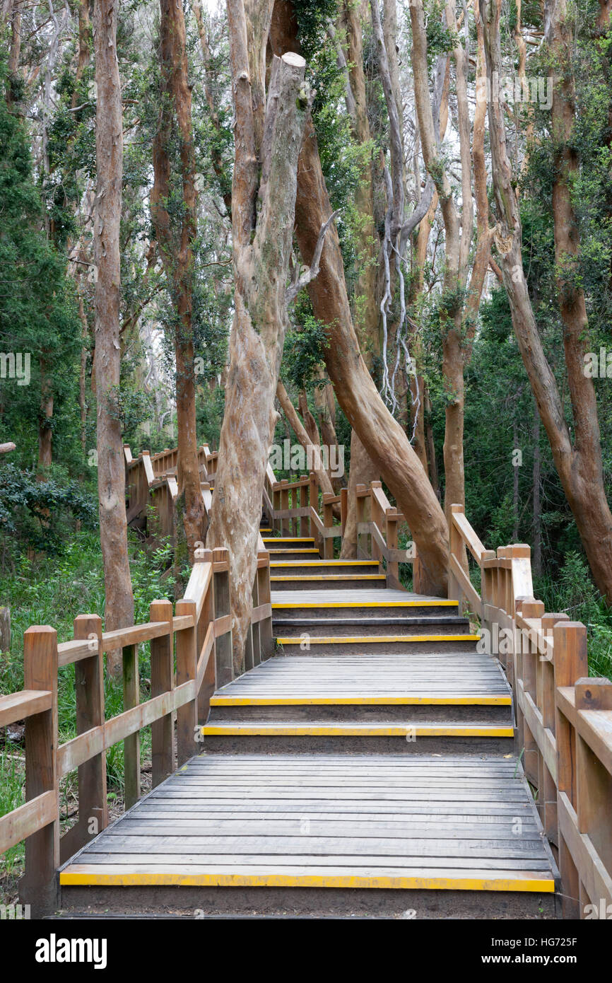 Los arrayanes national park hi-res stock photography and images - Alamy