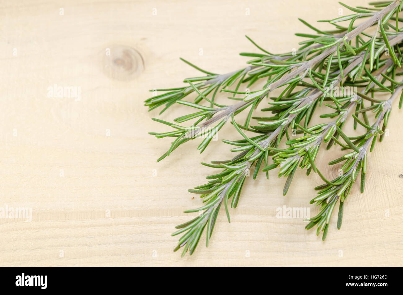 Rosemary branches hi-res stock photography and images - Alamy
